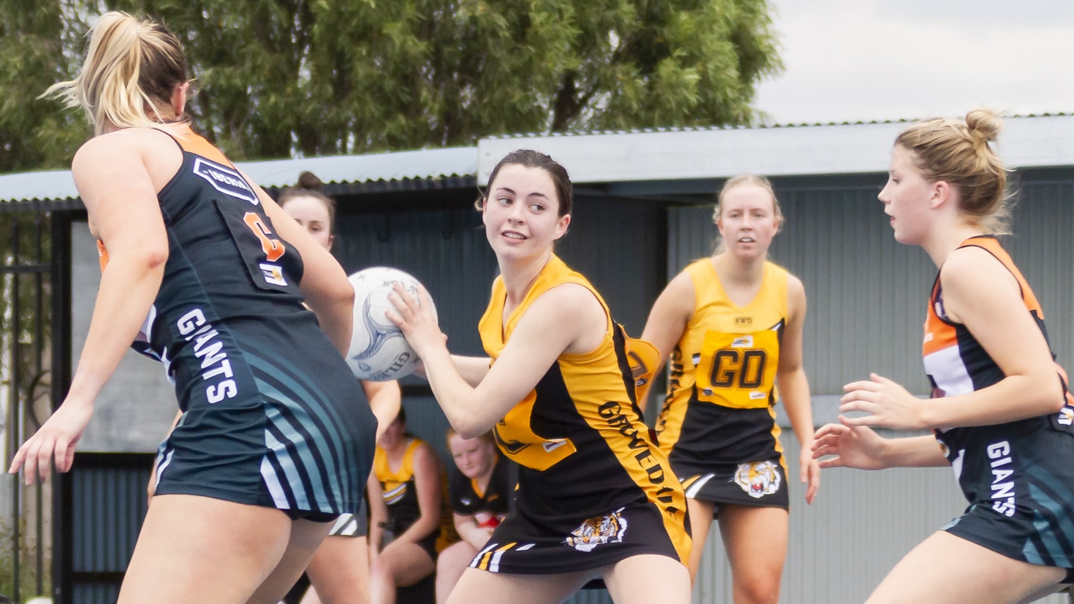 Netball Victoria Umpire Workshops and Development Opportunities