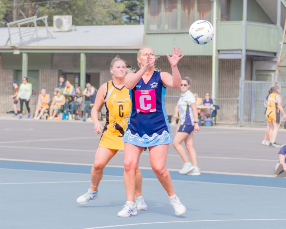 Barwon Heads FNC - Senior Netball Coach
